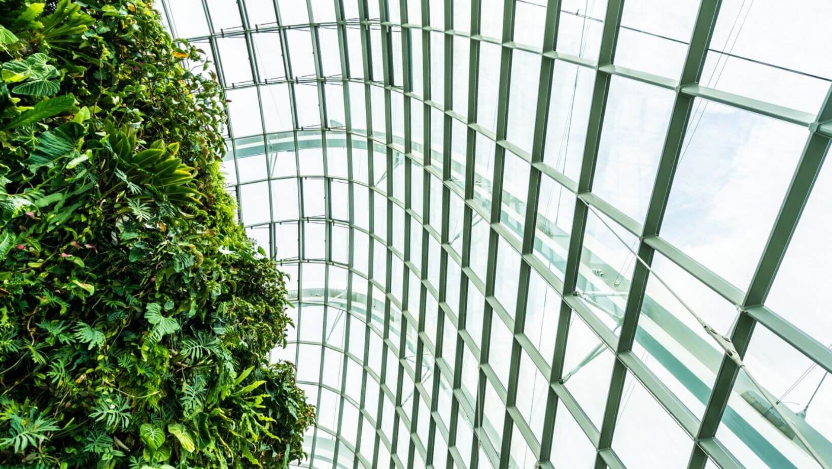 How the Rise of Green Building Materials is Shaping the Future of ...